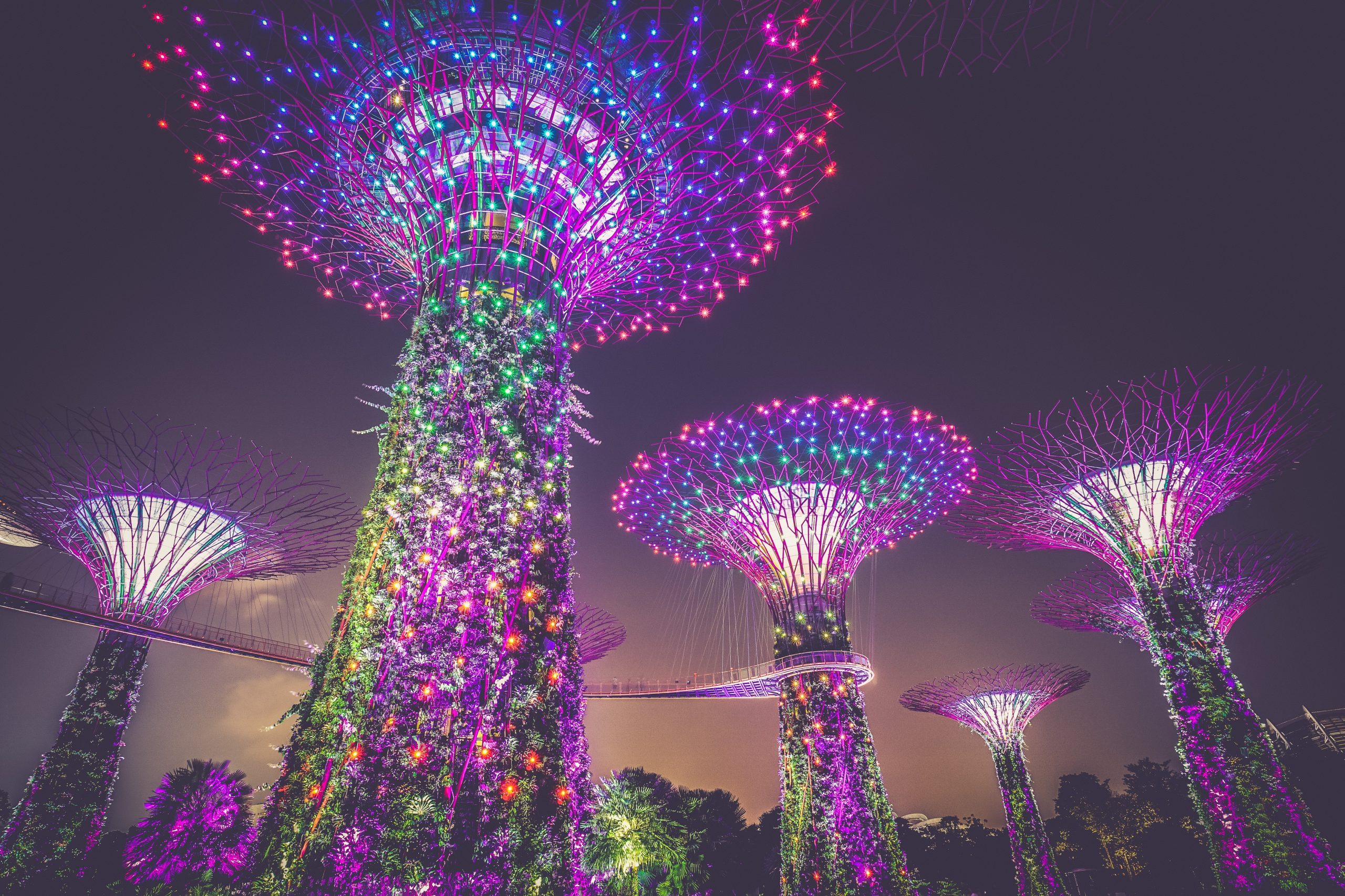 Thrill Seeker s Haven Adventure Activities In Singapore Remember thrill-seeker-s-haven-adventure-activities-in-singapore-remember